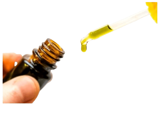 Important CBD Facts You Should Know